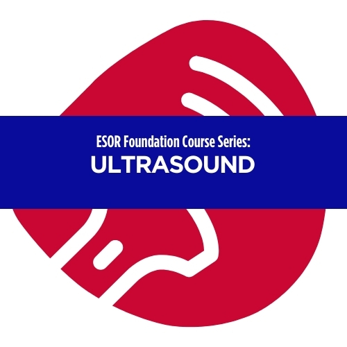 Ultrasound 2024 - ESOR - European School of Radiology