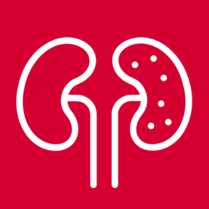 Foundation Courses - ESOR - European School of Radiology